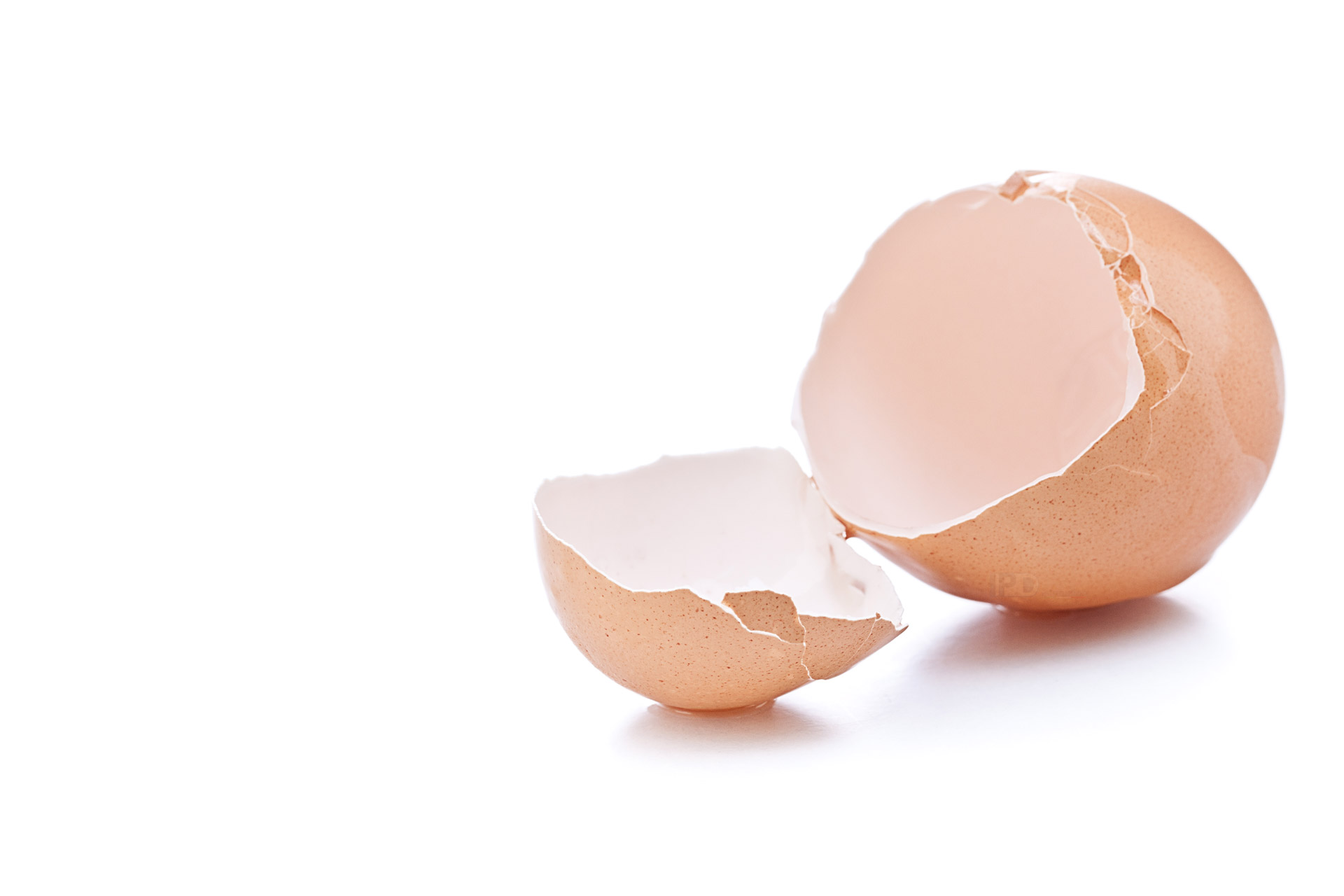 IPD | International Products Distribution and Advanced Technologies ...